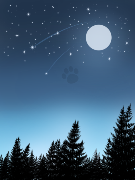 A Cool Night - ibisPaint