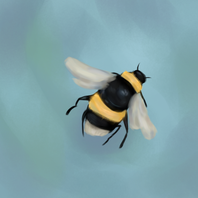bumblebee - ibisPaint