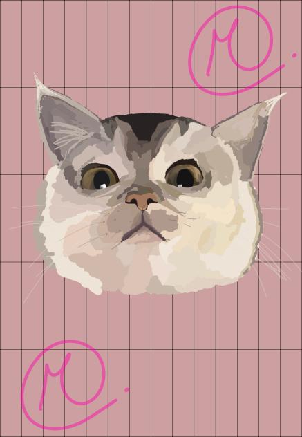 Kitty - ibisPaint