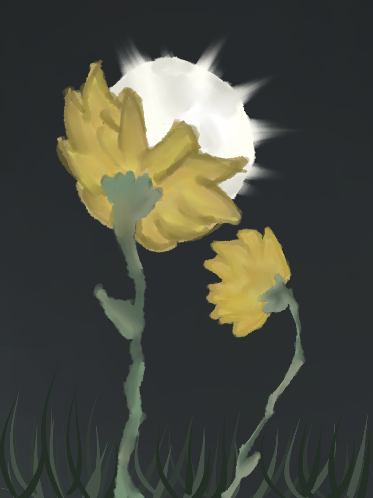 moonlit flower 🌼 🌕 - ibisPaint