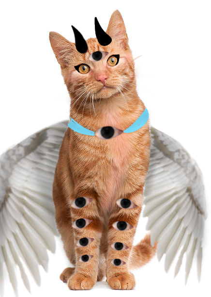 made a lil cat thing - ibisPaint