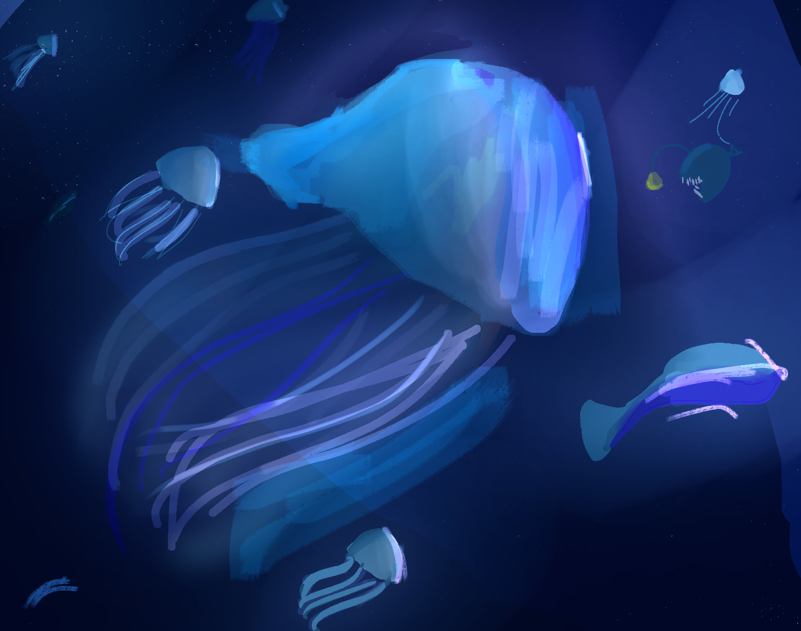 sea and jellyfish - ibisPaint