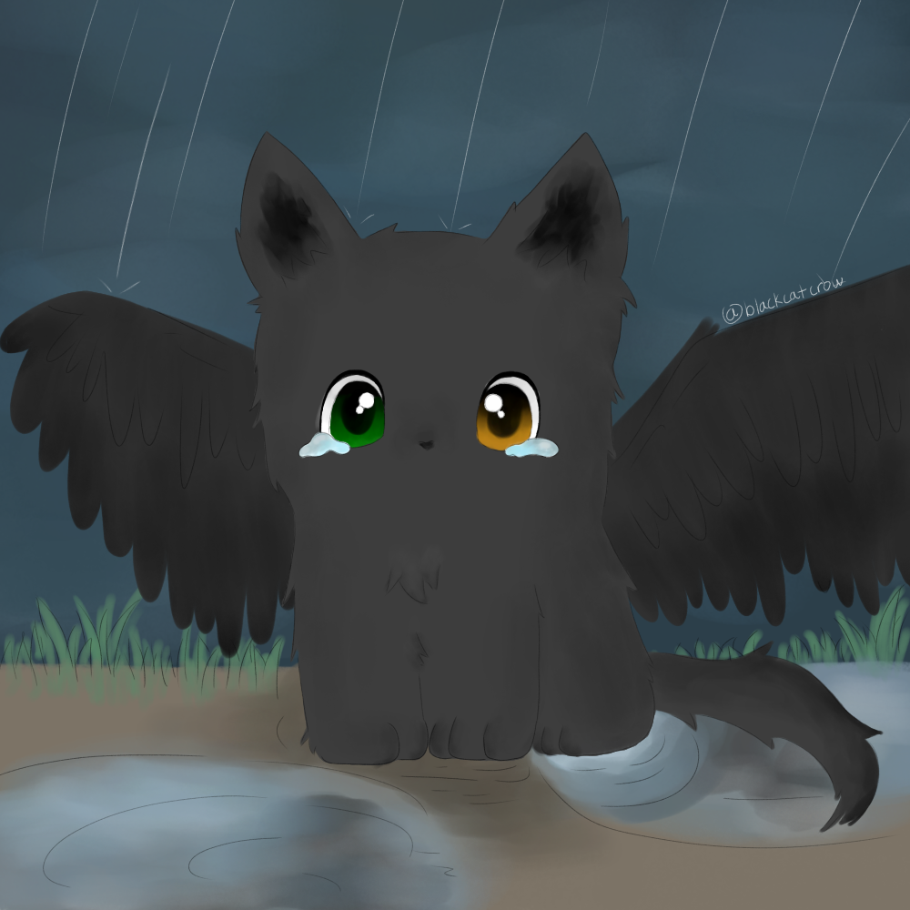 blackcat crow - ibisPaint