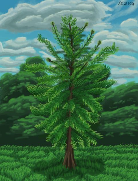 Wollemi pine - ibisPaint