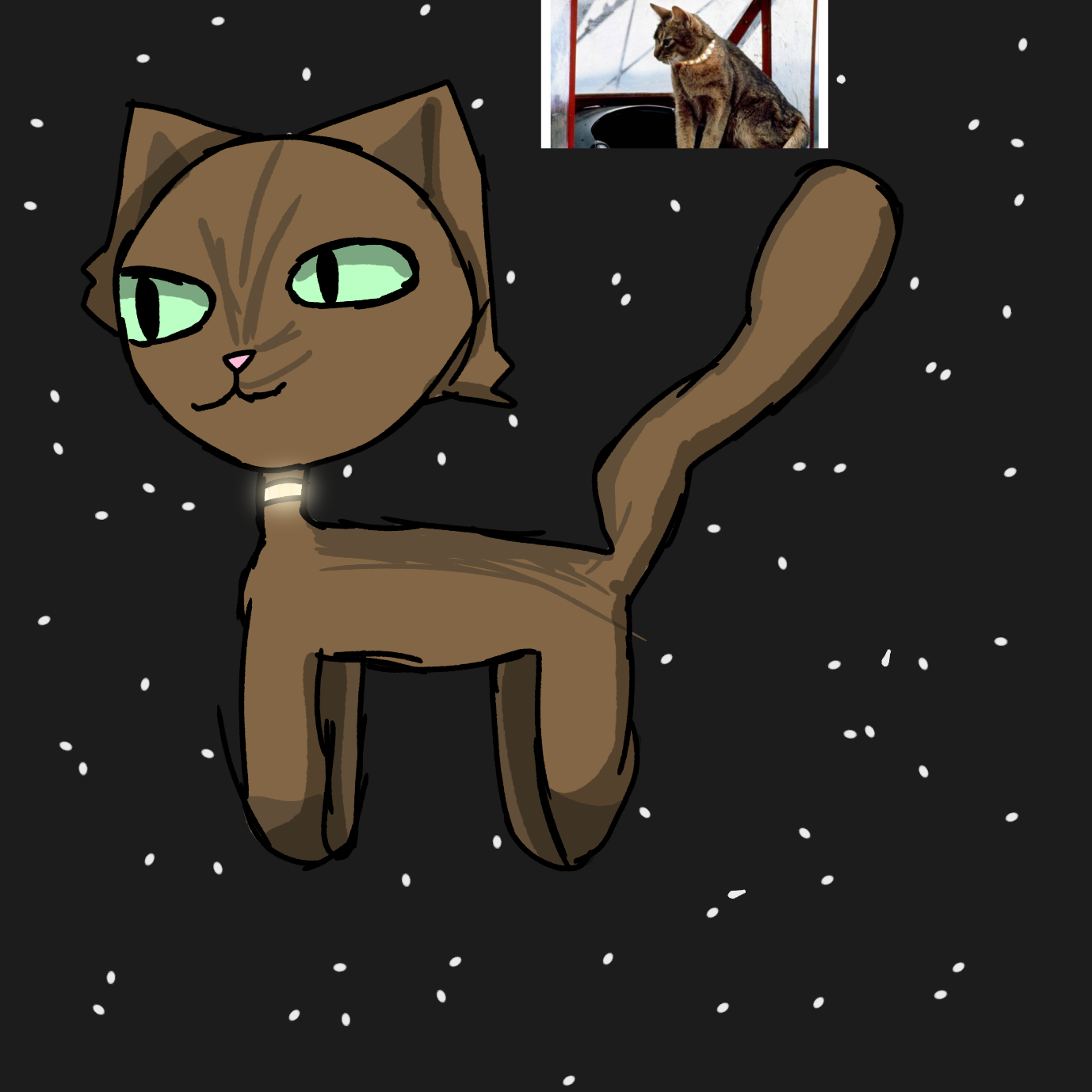 the cat from outer space - ibisPaint