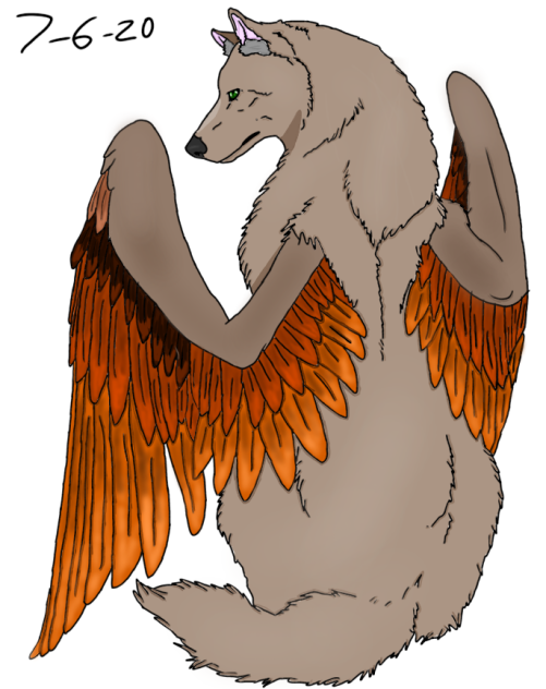 winged fantasy wolf #3 - ibisPaint