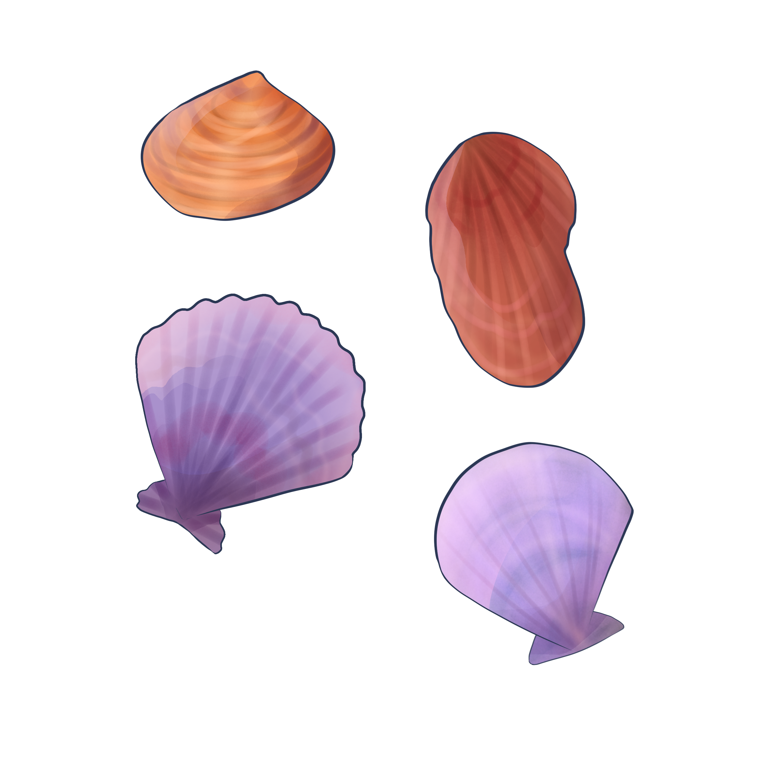 Colorful Seashells - ibisPaint