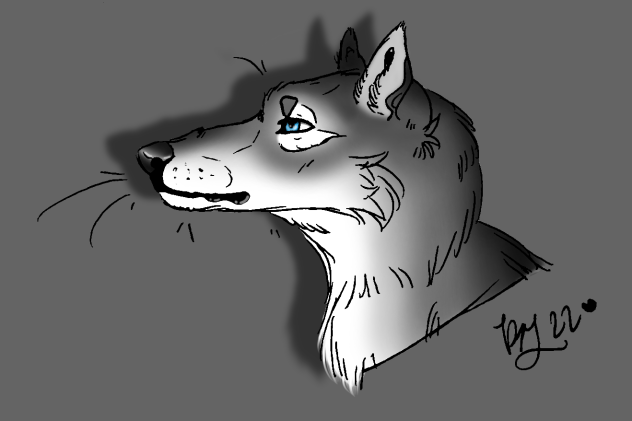 uh wolf again - ibisPaint