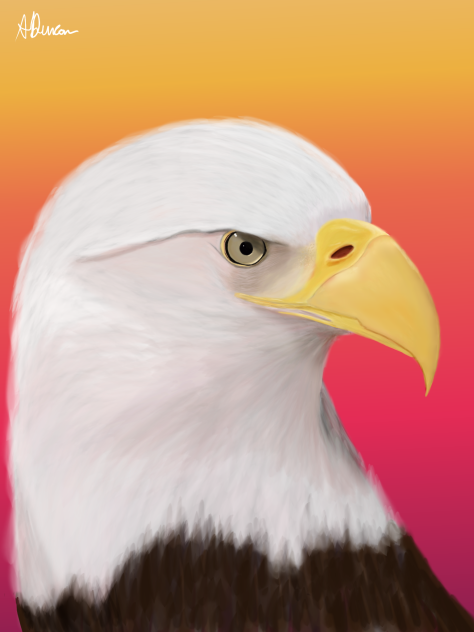 Fly like an eagle - ibisPaint