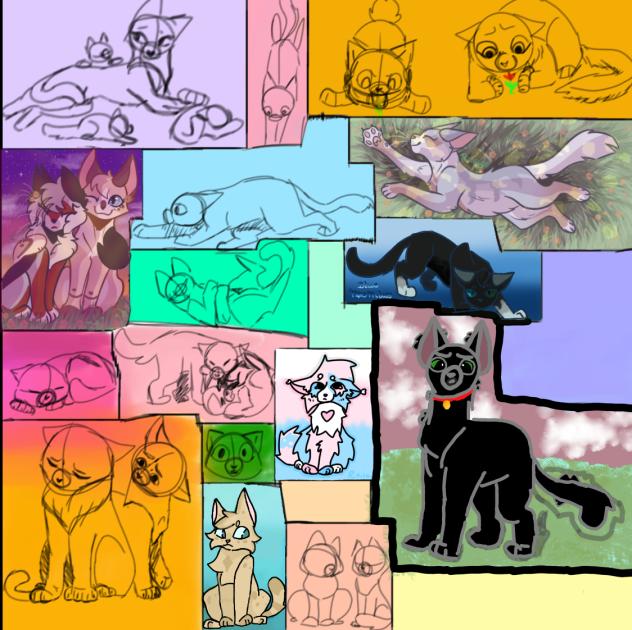 cat collab - ibisPaint