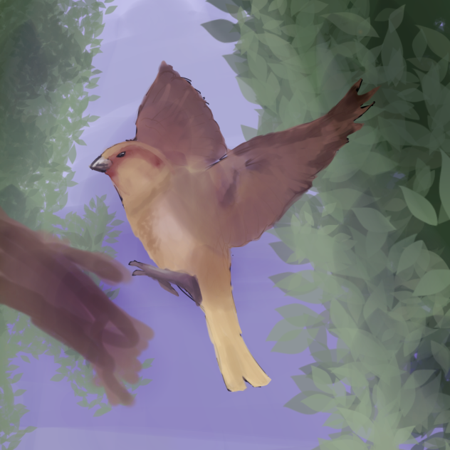 Sparrow - ibisPaint