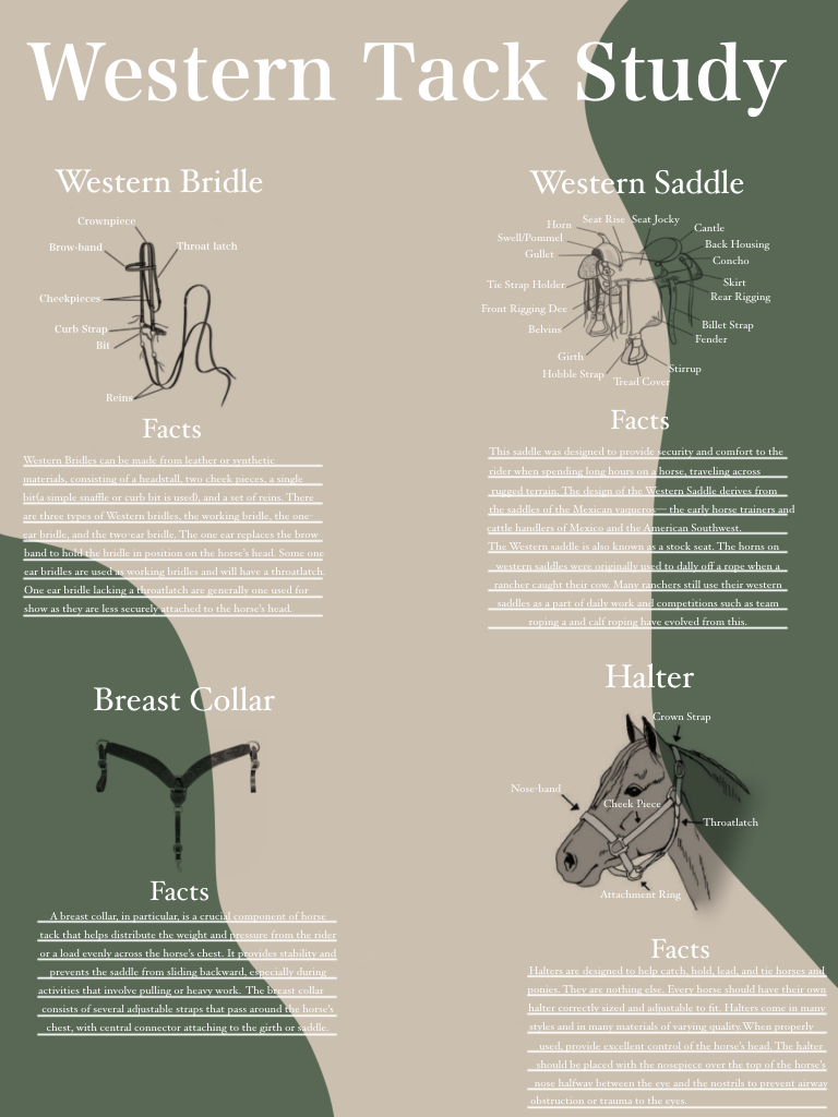 Tack Study - ibisPaint