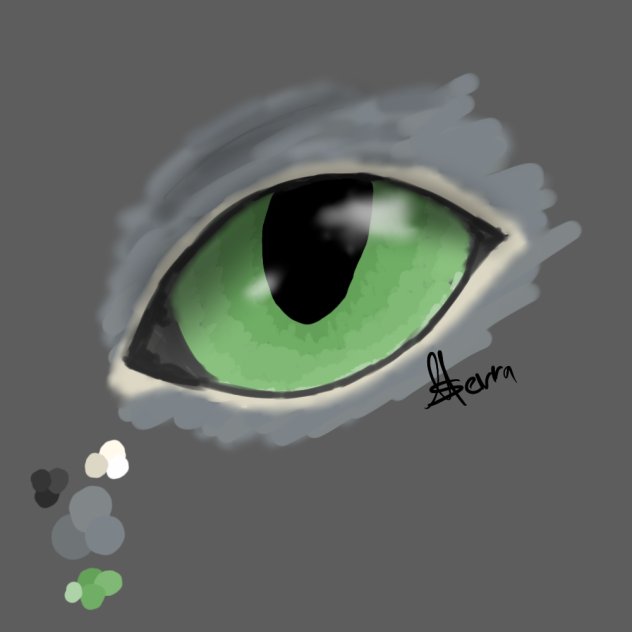 Cat eye - ibisPaint