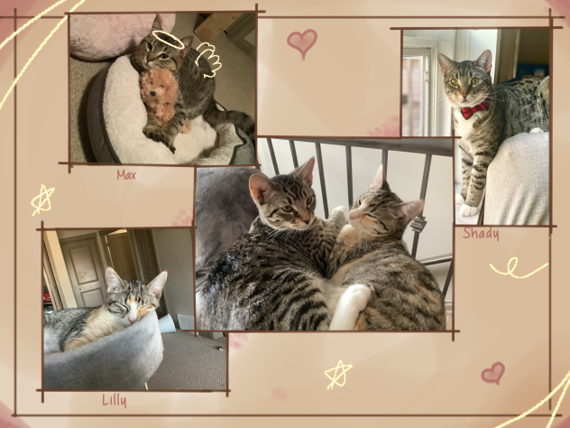 My Lock Screen! - ibisPaint