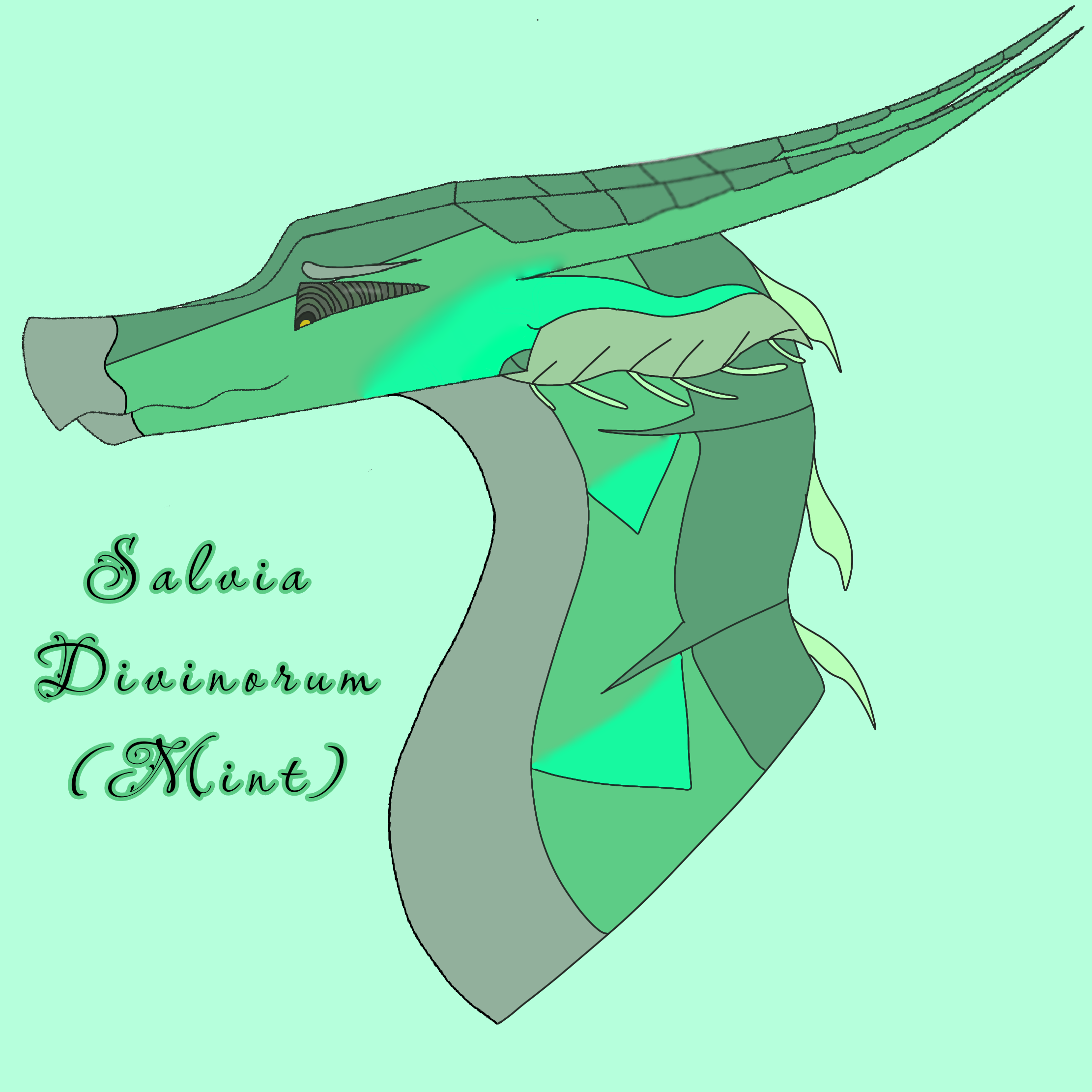 Salvia Divinorum (Mint) - ibisPaint