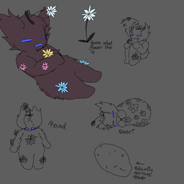 Winion oc—Potato - ibisPaint