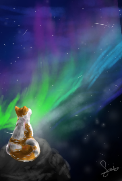 Aurora Borealis - ibisPaint