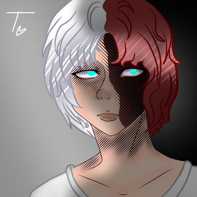 Todoroki - ibisPaint