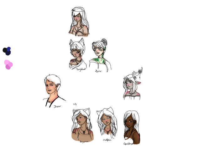 Drawing Oc’s - ibisPaint