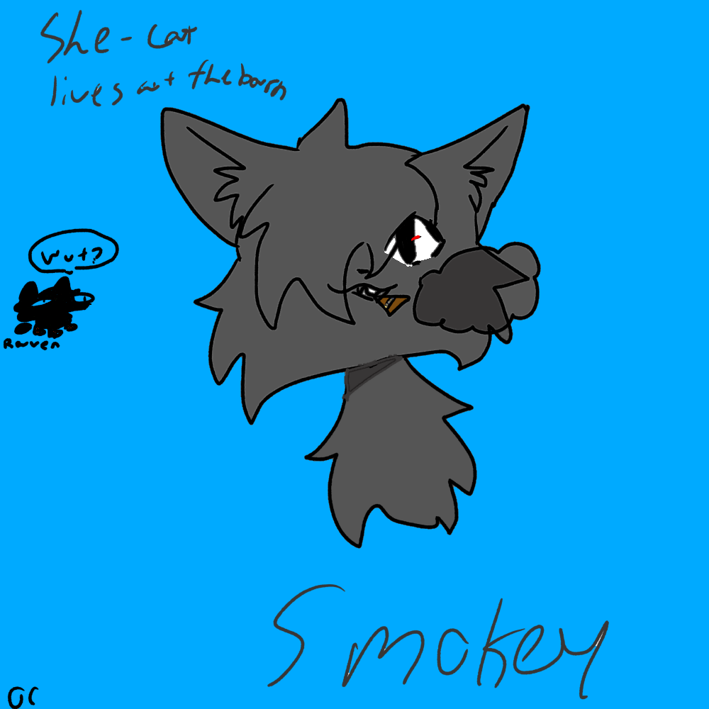 Smokey! - ibisPaint