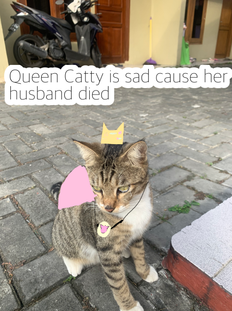 The Little Crying Cat 😿 - ibisPaint