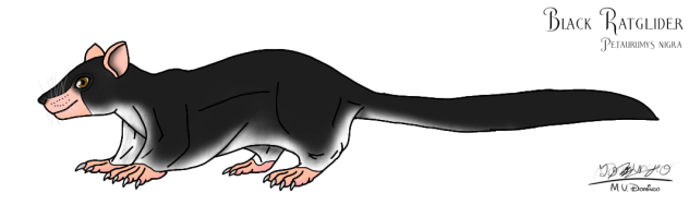 Black Ratglider - ibisPaint