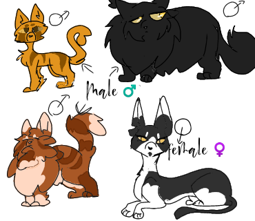 old rl cats - ibisPaint