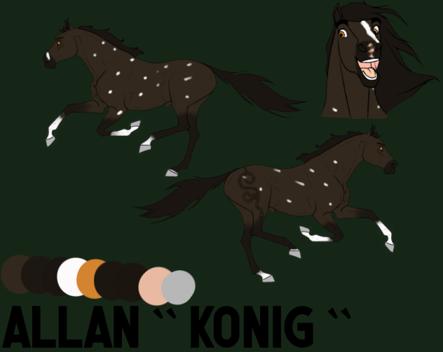 Konig - Reference Sheet - ibisPaint