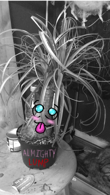 THE ALMIGHTY LUMP - ibisPaint