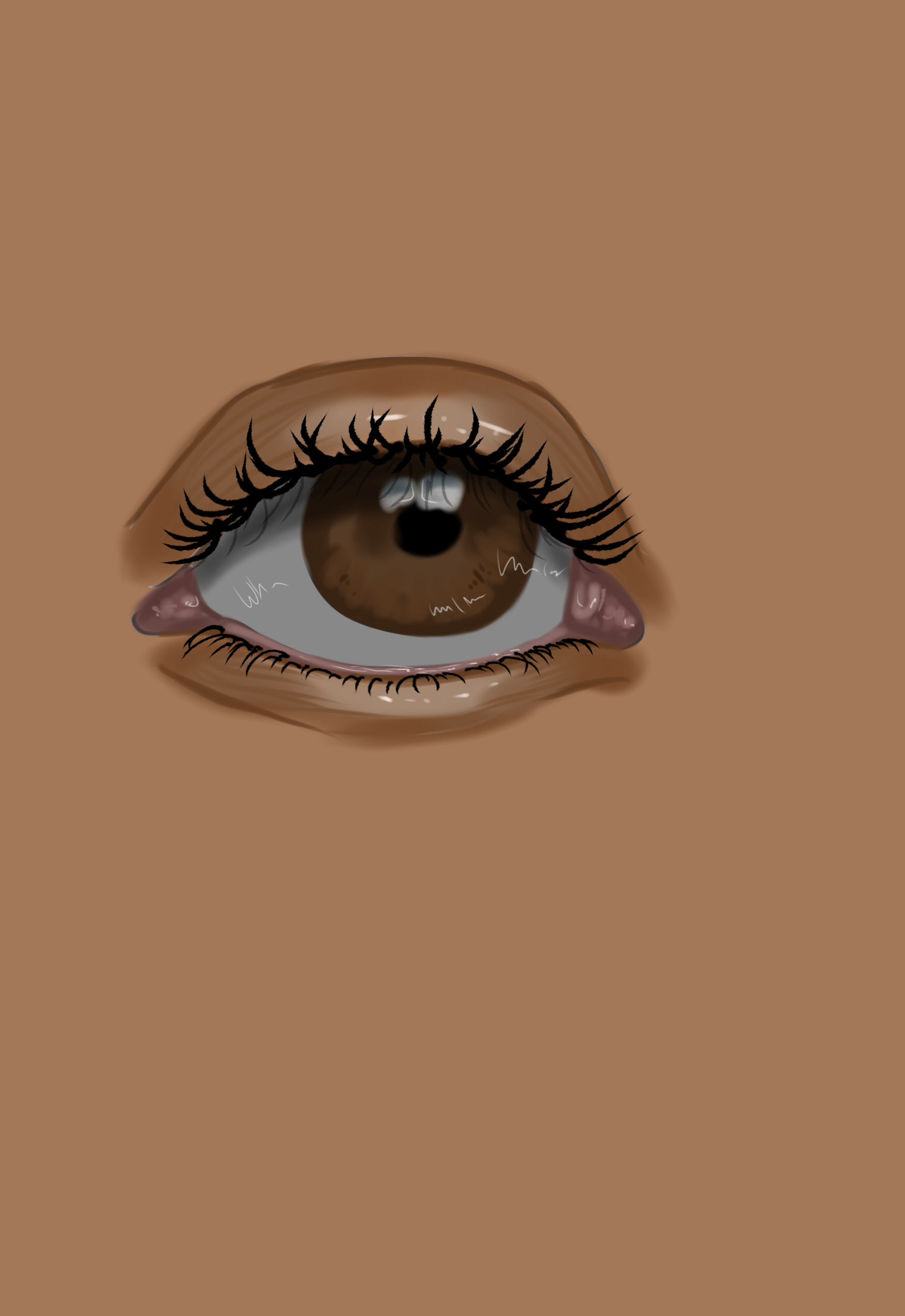 Doe eye - ibisPaint