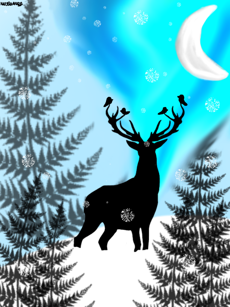 winter night - ibisPaint