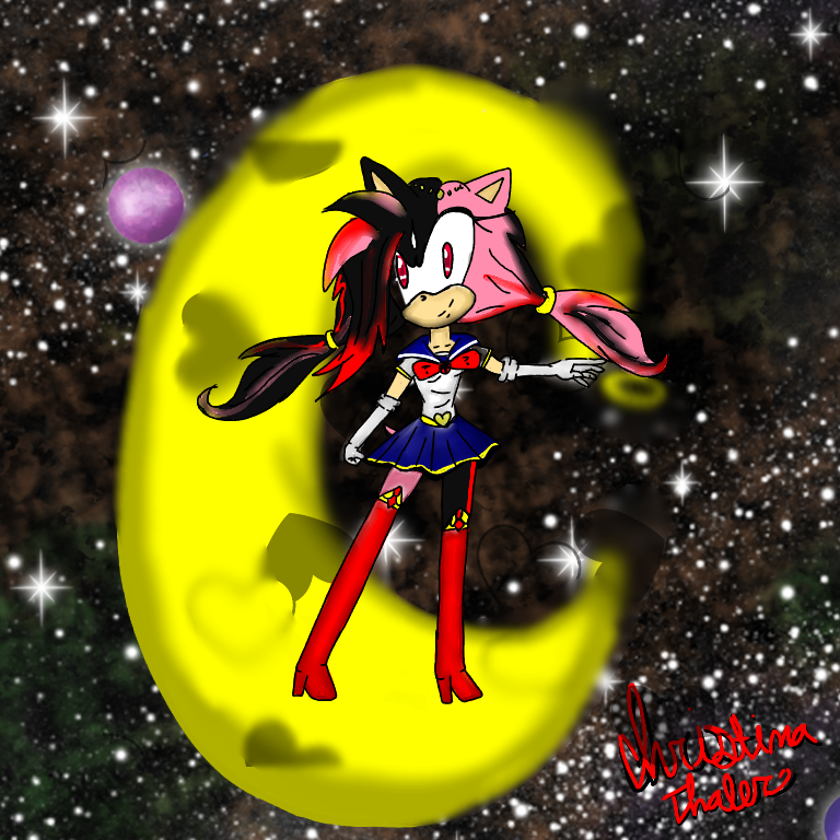 rosy the hedgehog the pretty guardian - ibisPaint