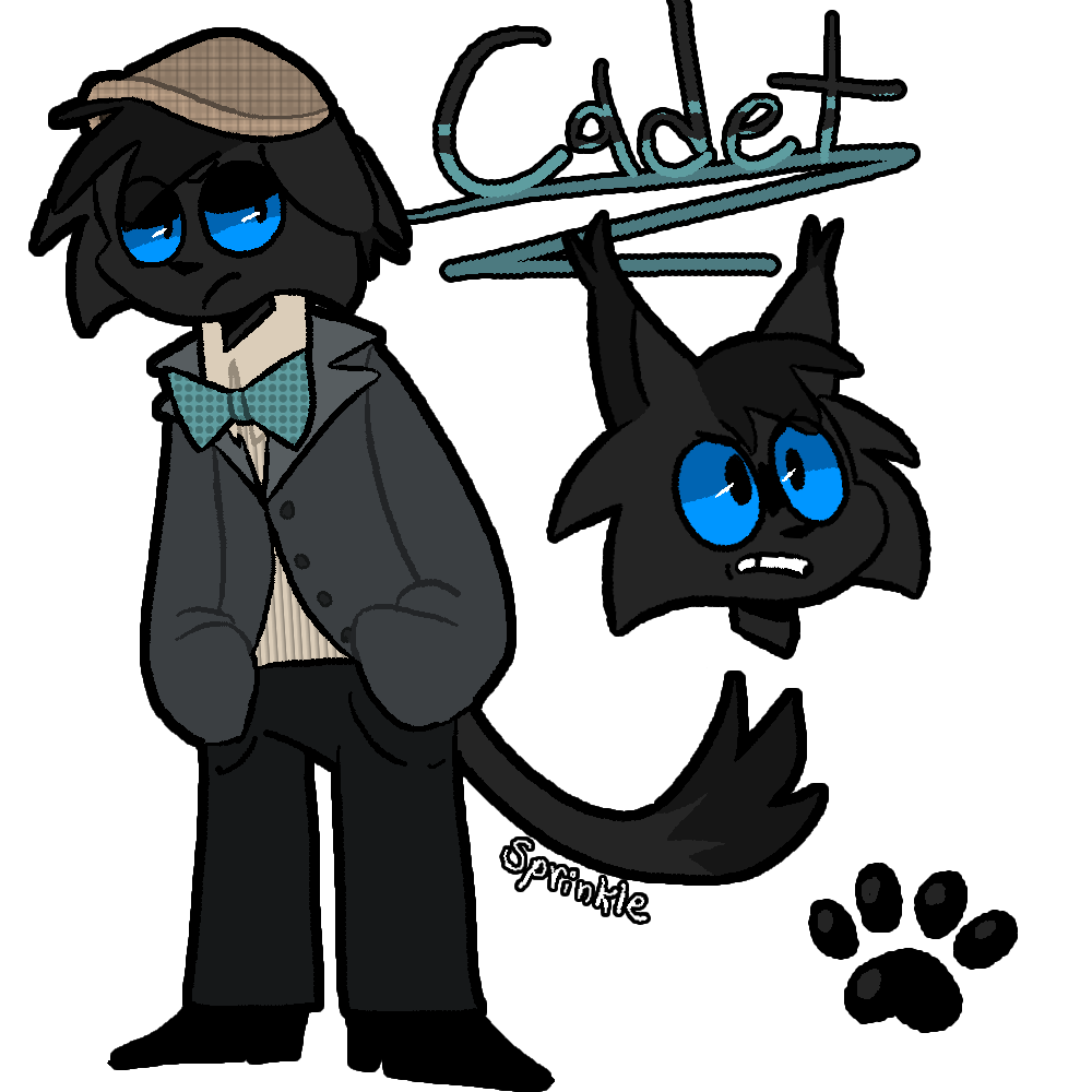 Cadet Design Sheet - ibisPaint