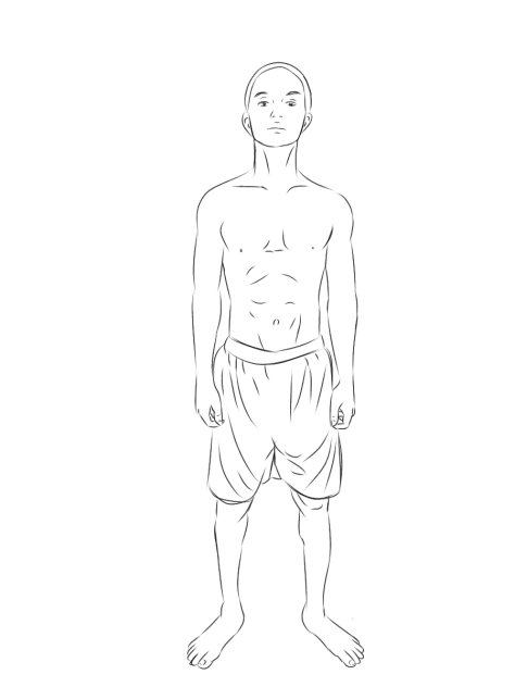 body referense - ibisPaint