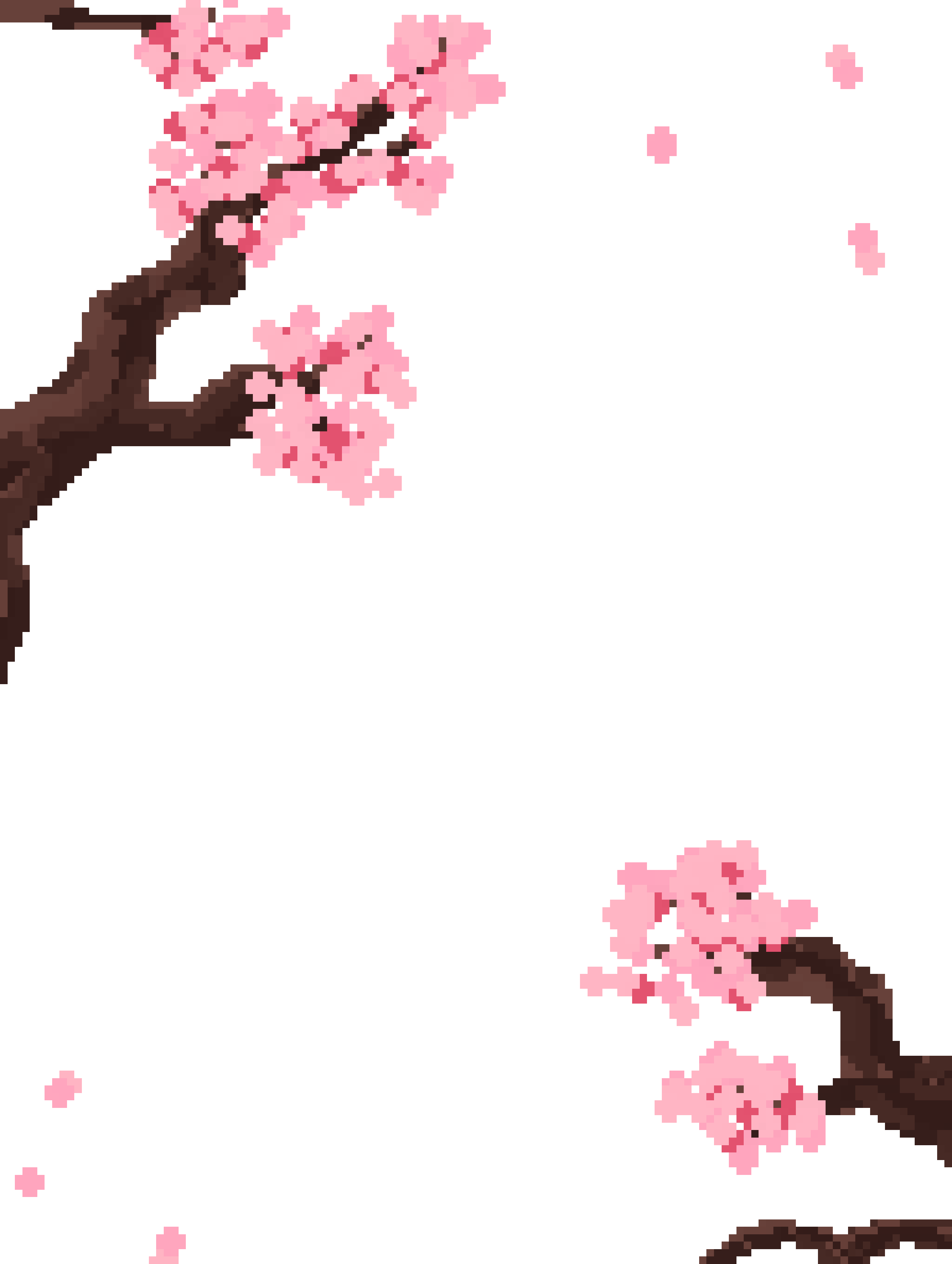 cherry blossom frame (pixel) - ibisPaint