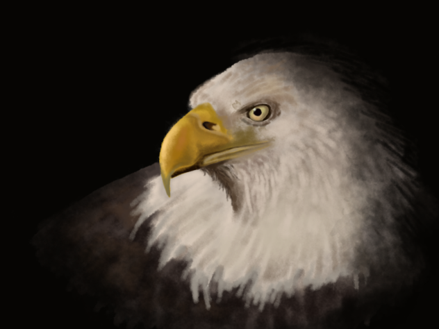 Untitled14 eagle yay! - ibisPaint