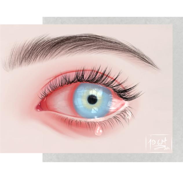 Eye study 💧- Redrawn - ibisPaint