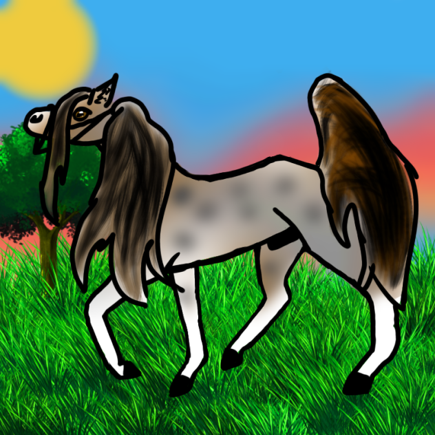 arabian horse - ibisPaint