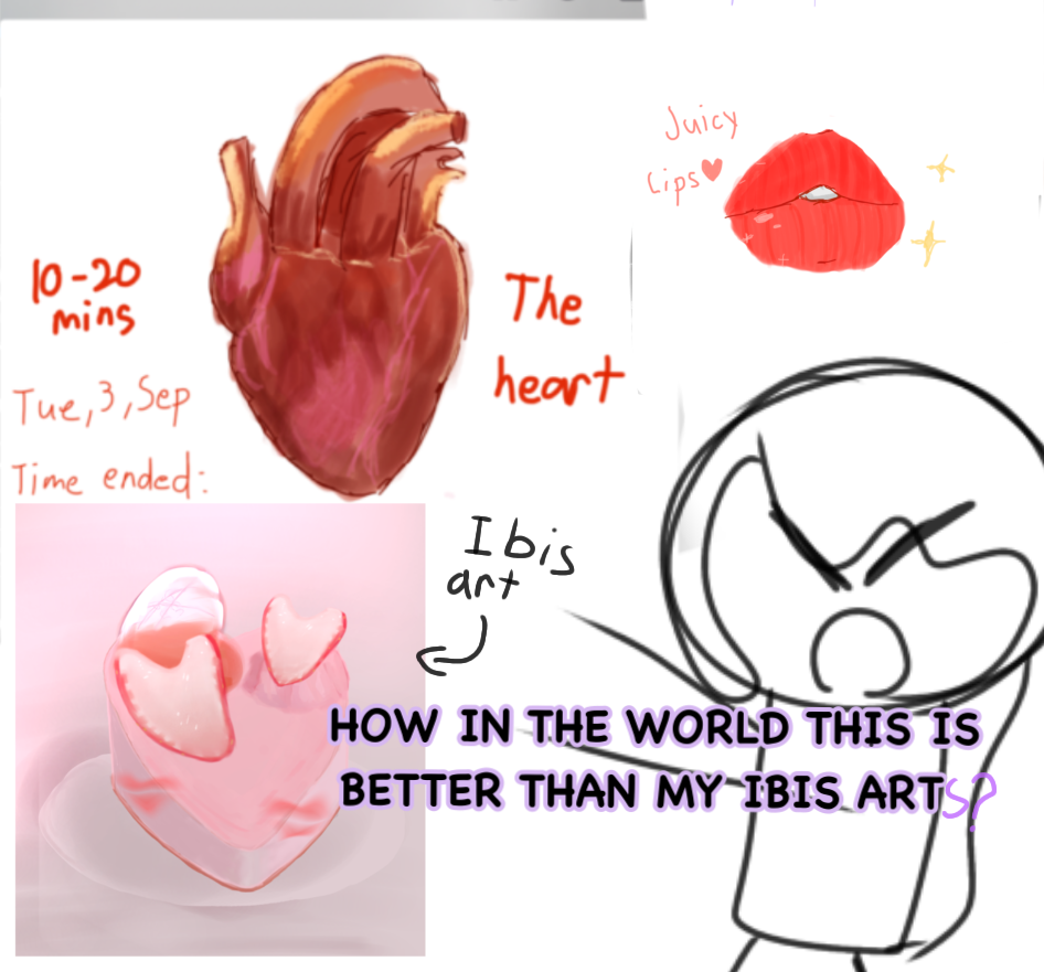 I don’t understand - ibisPaint