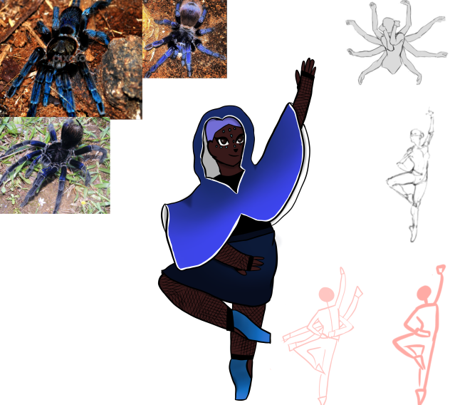 Australian blue leg bird eater tarantula - ibisPaint