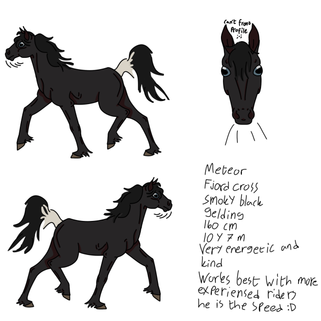 meteor refsheet - ibisPaint