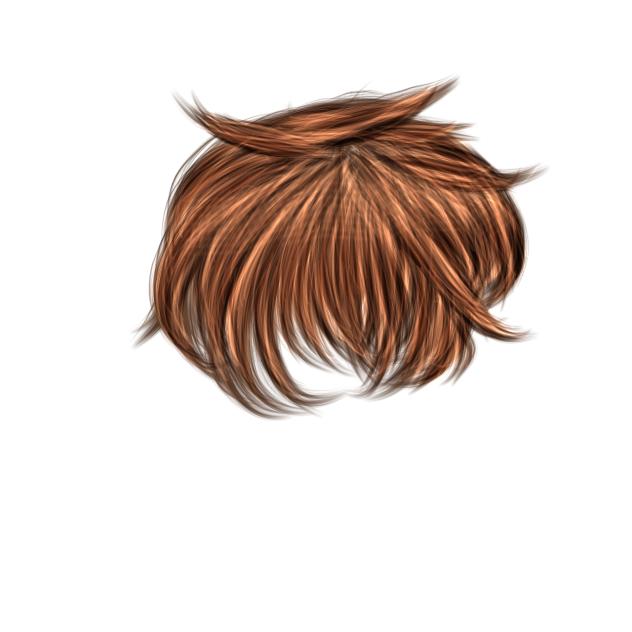 hair making brown hair front edit - ibisPaint