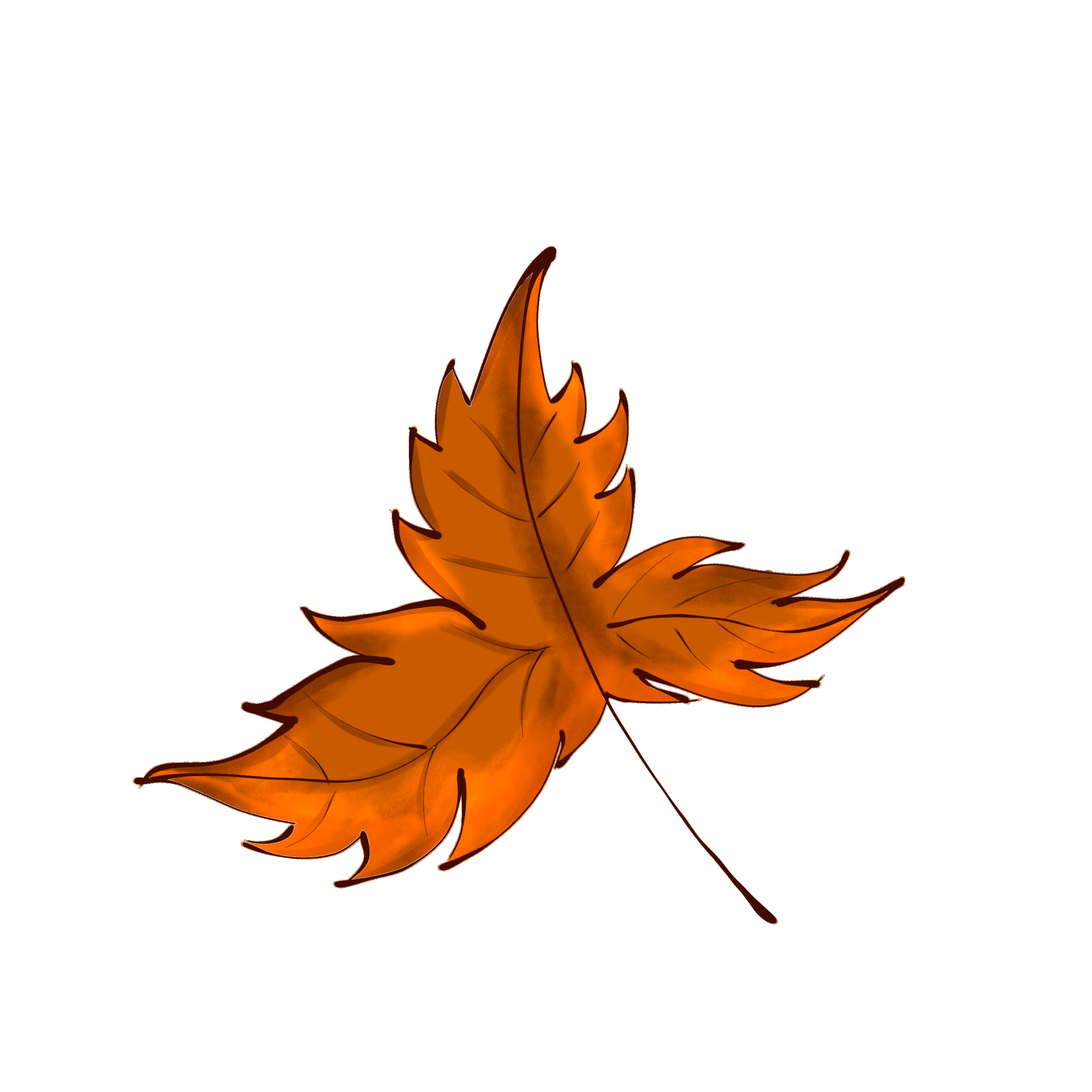 maple leaf - ibisPaint