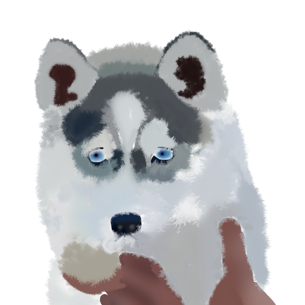 husky - ibisPaint