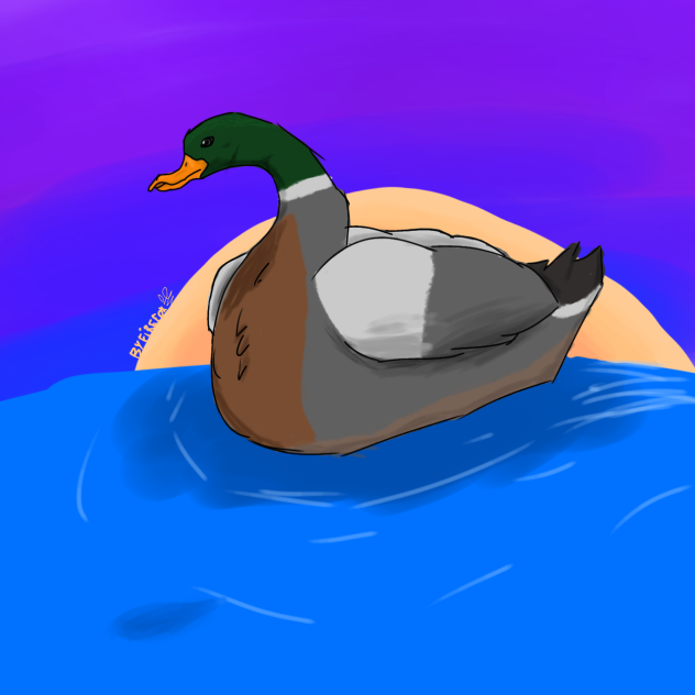 duck - ibisPaint