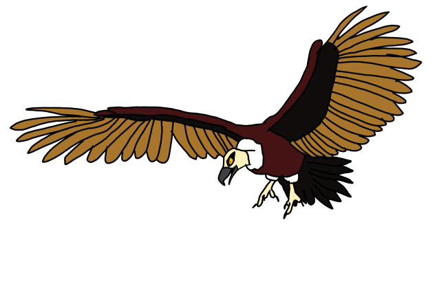 Argentavis - ibisPaint