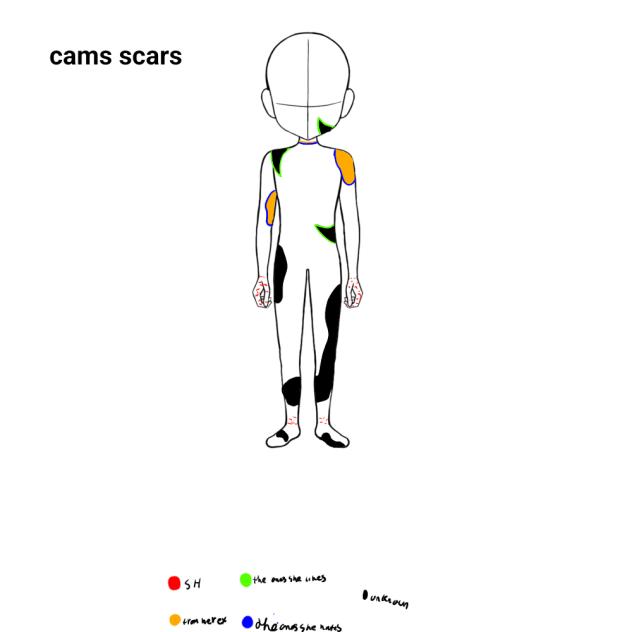 cams scars - ibisPaint
