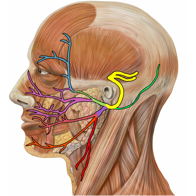 2 sin título - ibisPaint