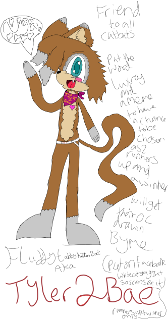 Fluffy Tabby CatBat - ibisPaint