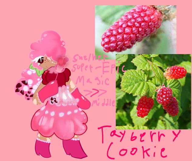 Tayberry Cookie - ibisPaint